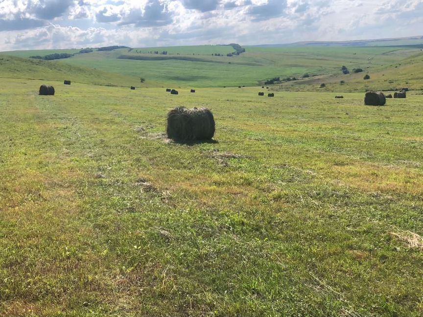 Продажа сена в рулонах