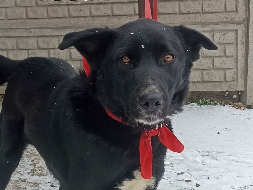 Обаятельный красавчик