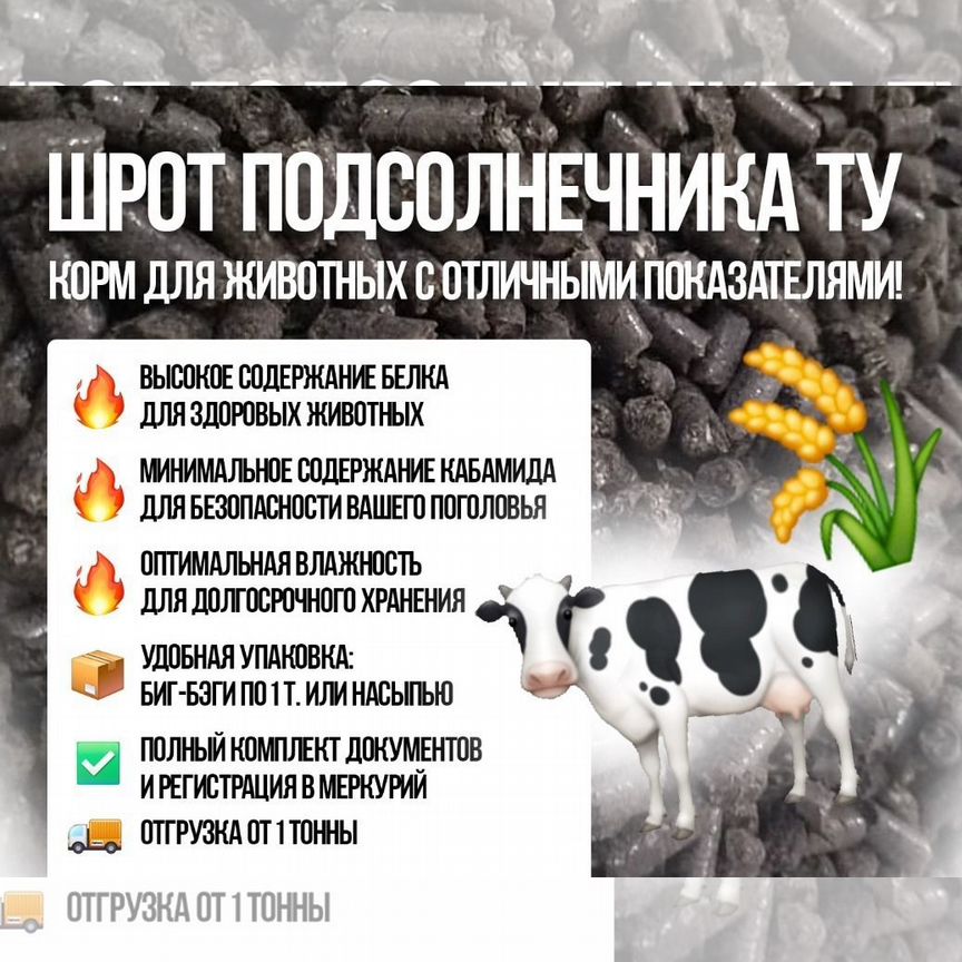Шрот подсолнечника для кормления животных