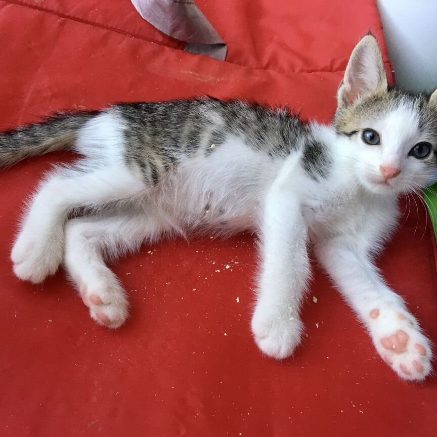 Трудная судьба