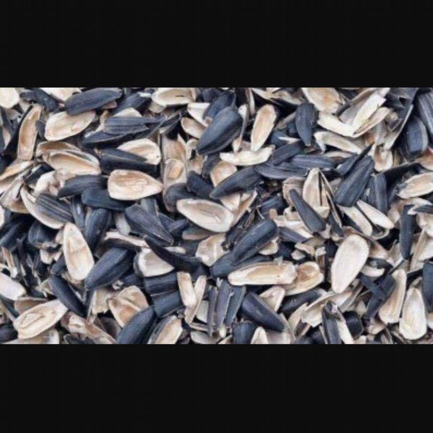 Лузга подсолнечника