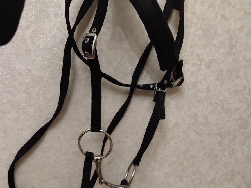 Уздечка для лошади cob