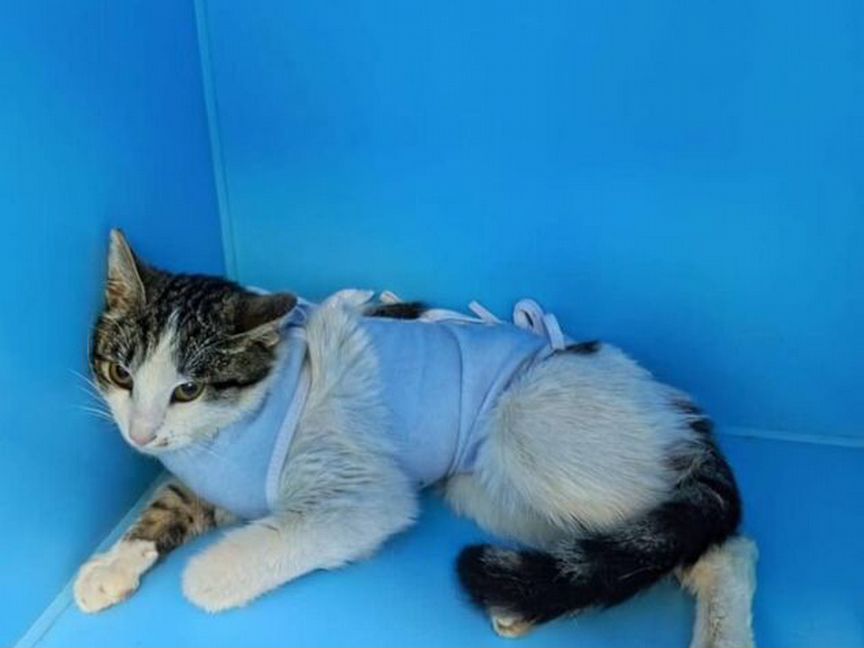 Очень жалко малышку Эльку