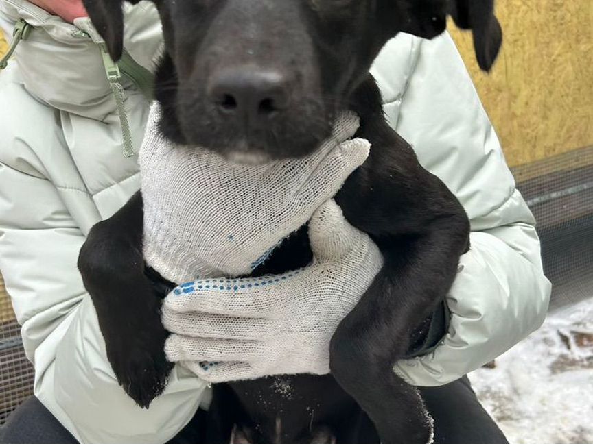 Любознательный подросток ждет своих хозяев