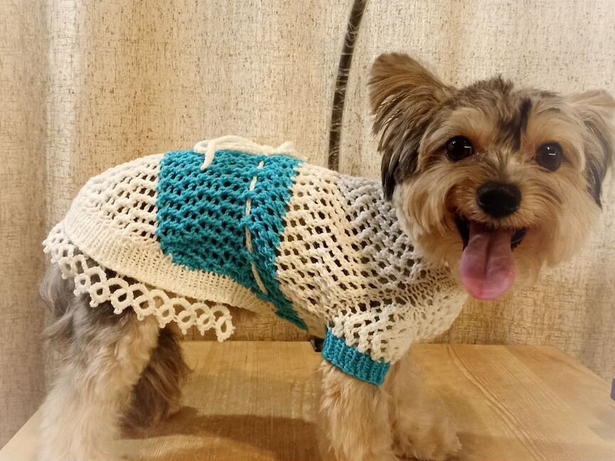 Летняя вязанная кофточка для собаки