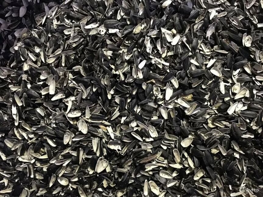 Лузга, шелуха