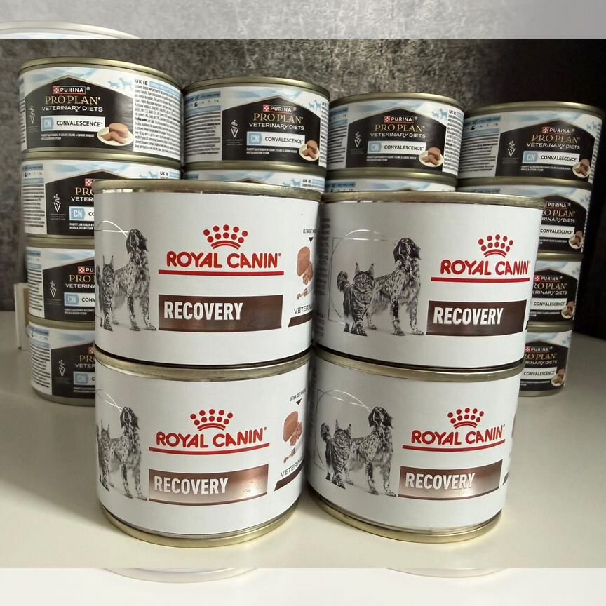 Лечебный корм для кошек Royal Canin Recovery