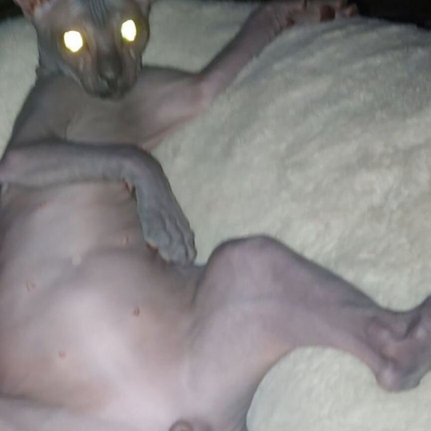 Ищем невесту