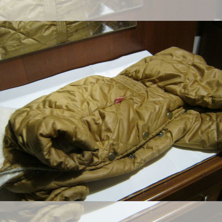 Комбинезон для собаки зимний с капюшоном рL