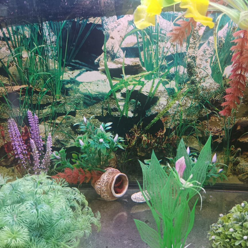 Аквариум 100 литров с тумбой