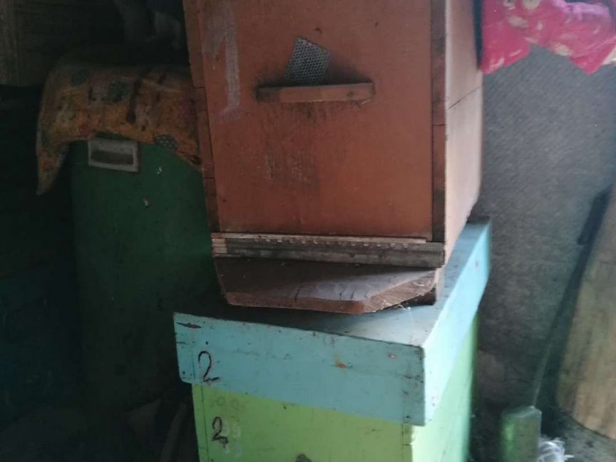 Продаются никлеусы б\у