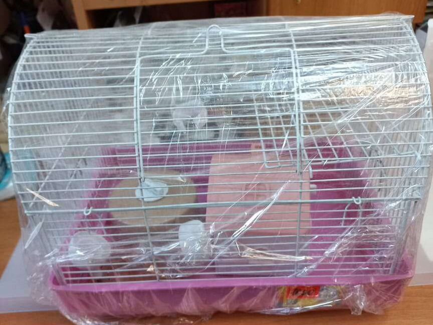 Клетка для Мышки-крысы