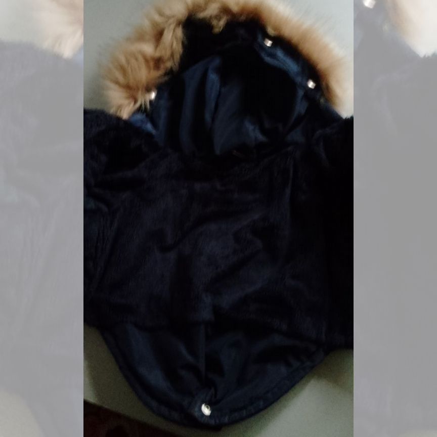 Одежда для маленьких собак