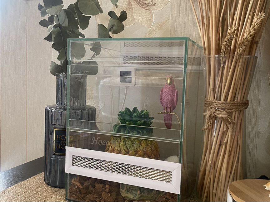 Террариум для рептилий