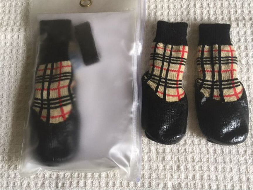 Носки для собак