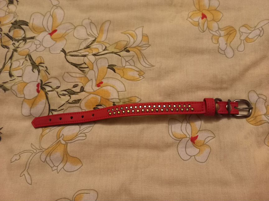 Ошейник для декоративных собак новый