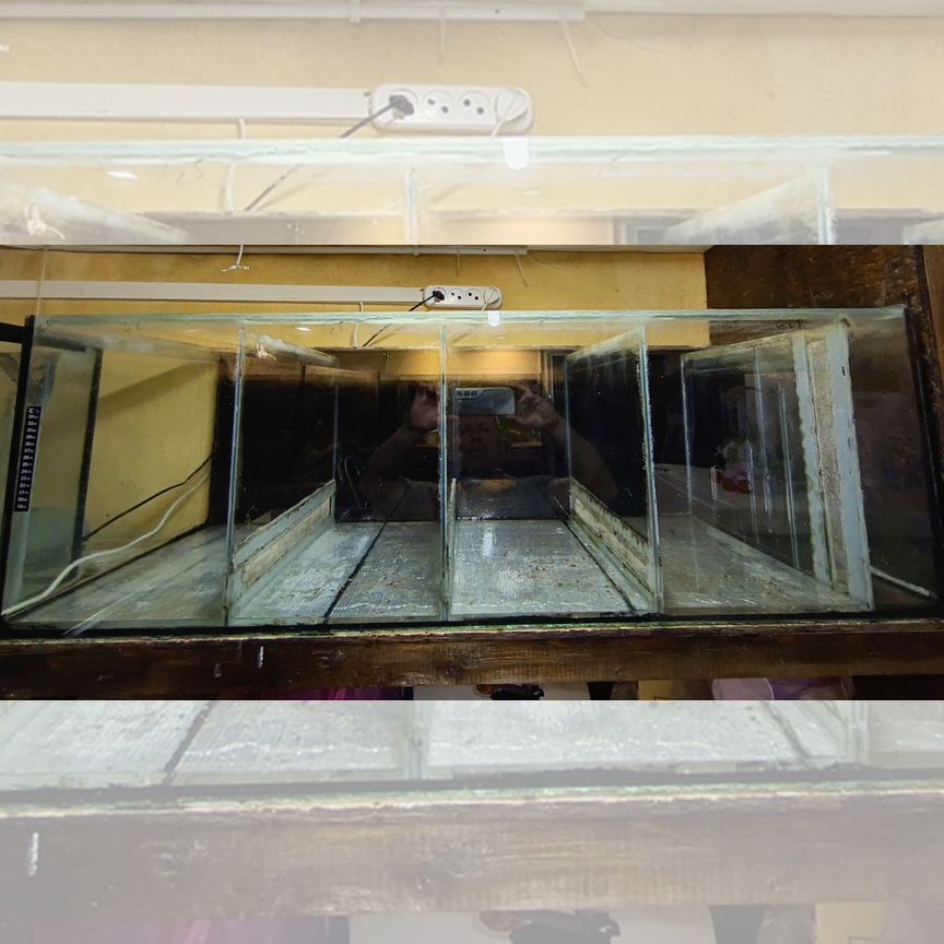 Аквариум четырёх секционный