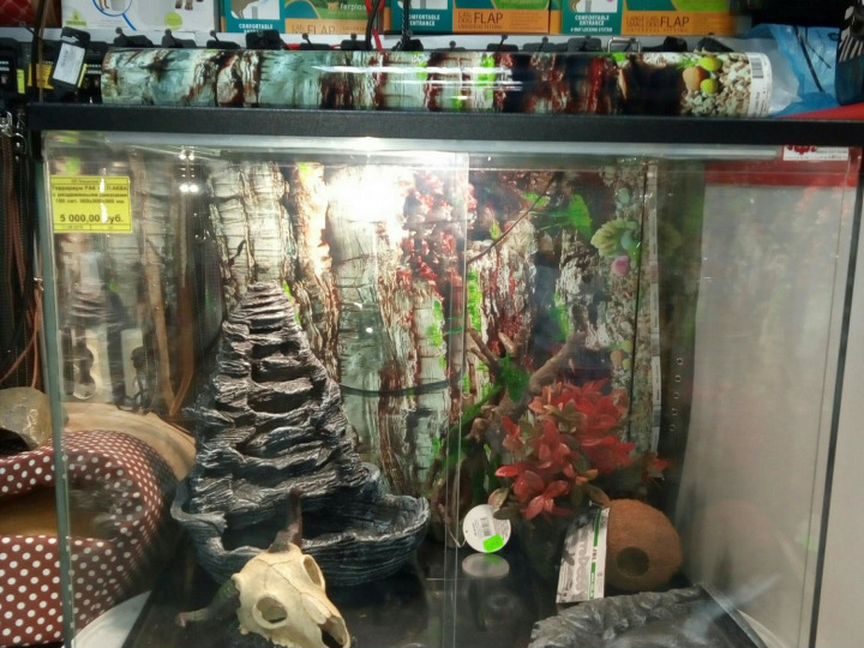 Террариумы в наличии и под заказ