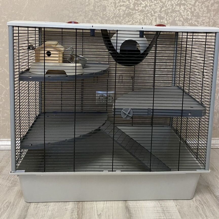 Клетка