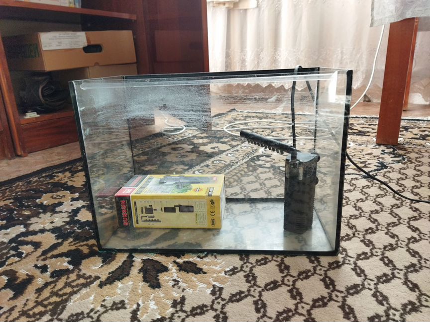 Отдам бесплатно в дар