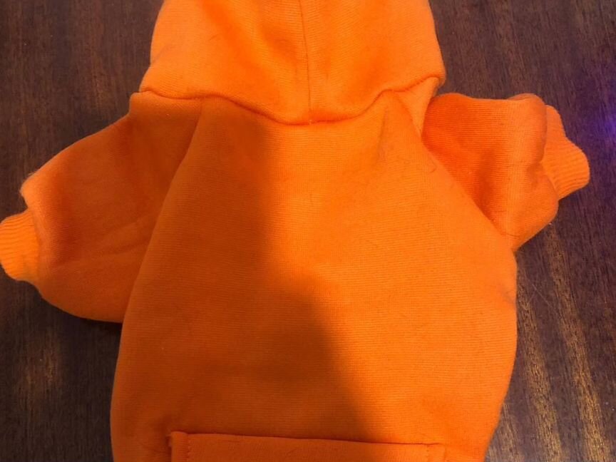 Худи для собак