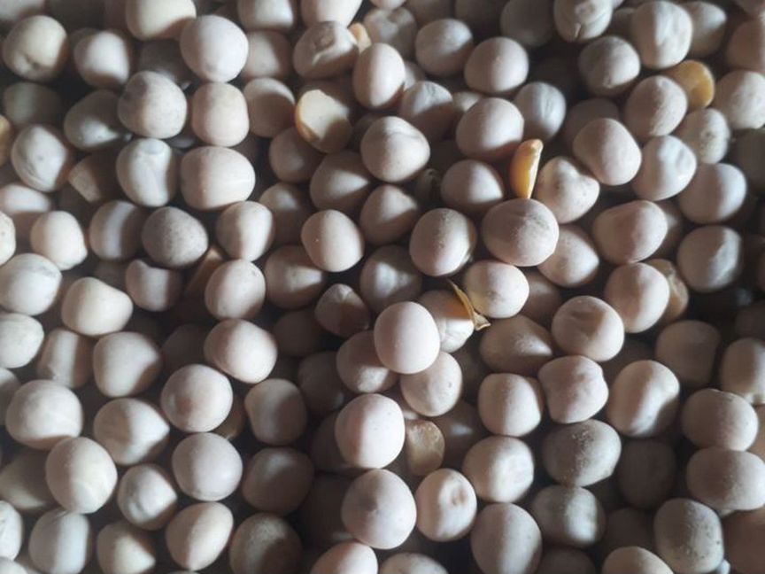 Горох элита