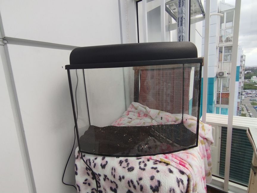 Аквариум с грунтом