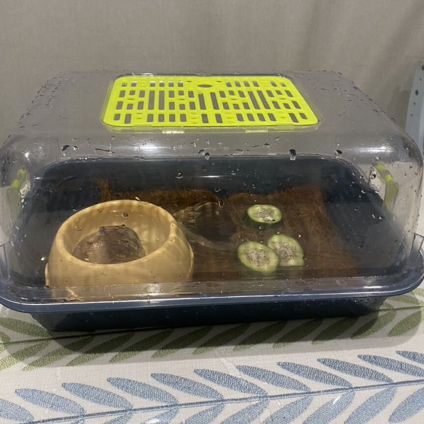 Террариум для улиток и черепах 19 л