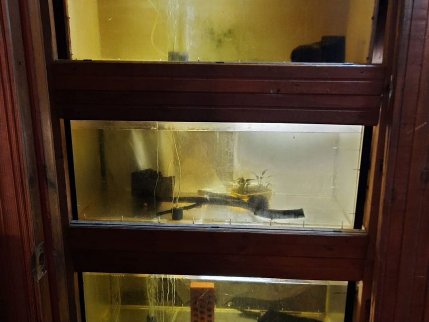 Аквариум из оргстекла
