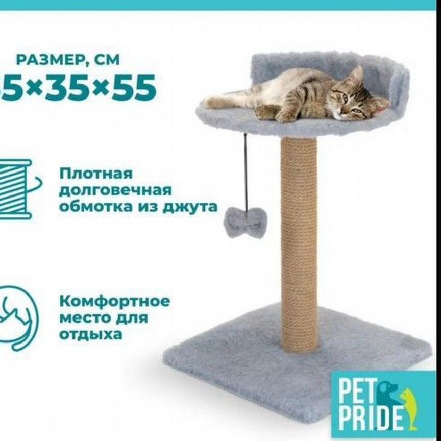 Когтеточка