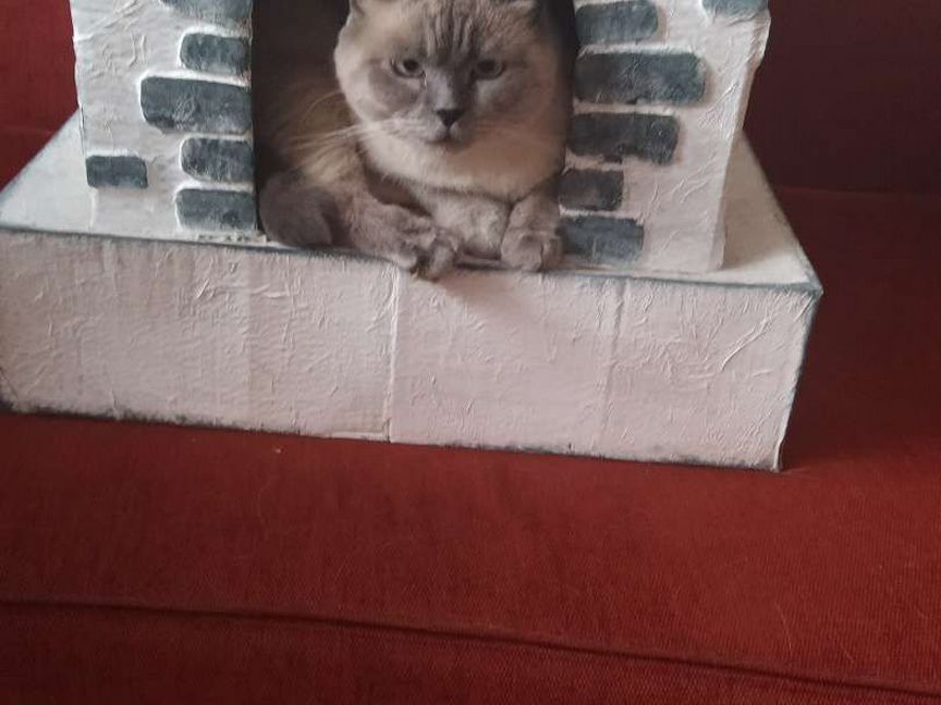 Домик для котика