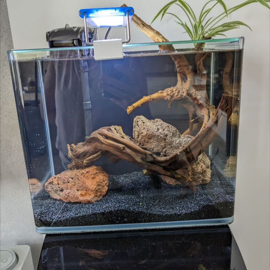 Аквариум 12 литров