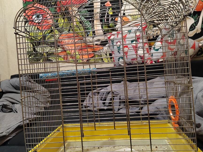 Клетка для попугая