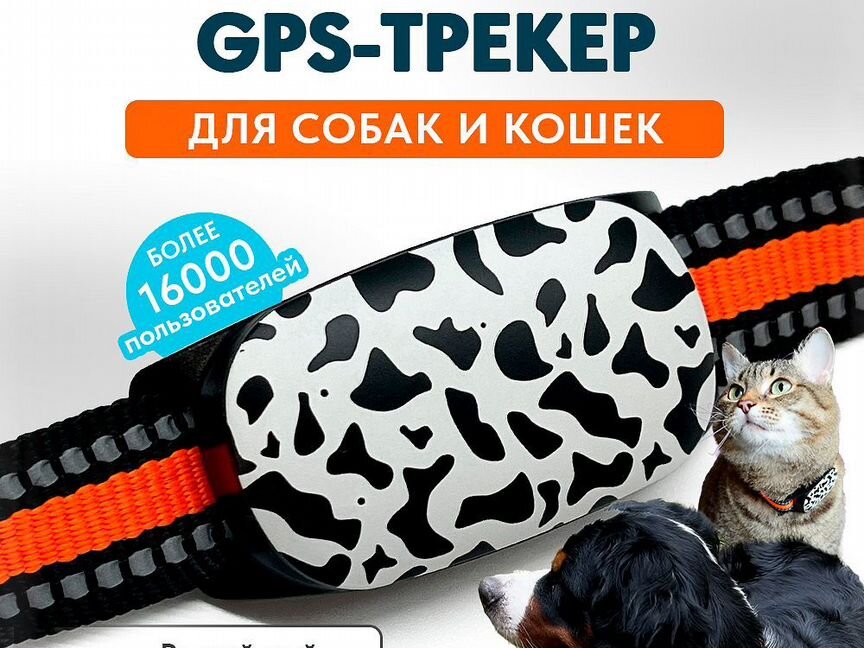 Gps ошейник для кошек