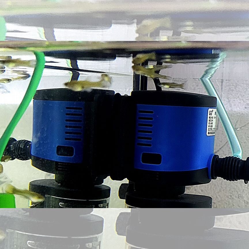 Аквариумистика