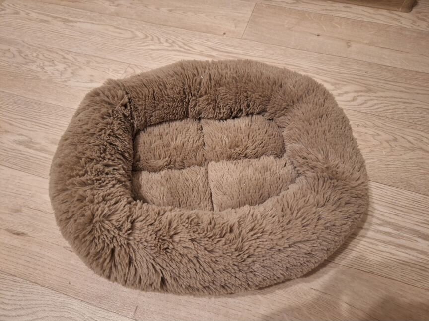 Аксессуары для кошек