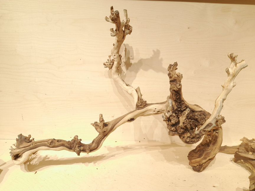 Коряги