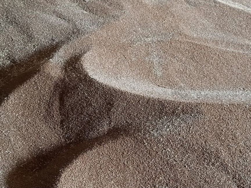 Отруби пшеничные оптом и в розницу цена договорная