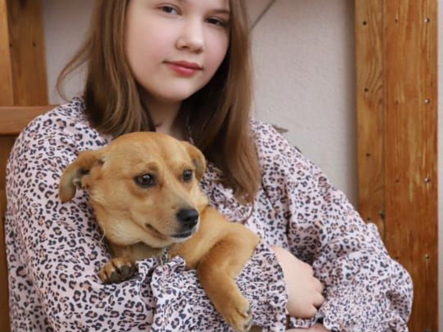 Маленькая собачка Миндалька 7 кг в добрые руки