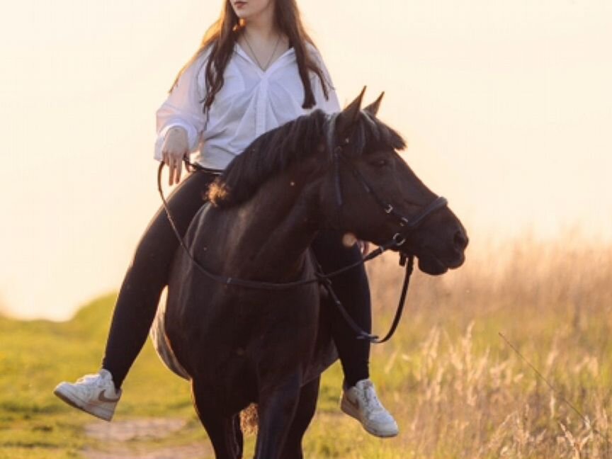 Сайдпул для лошади