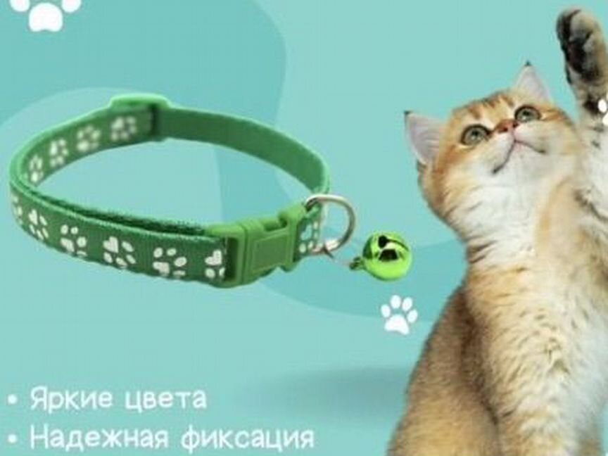 Ошейник для домашних животных