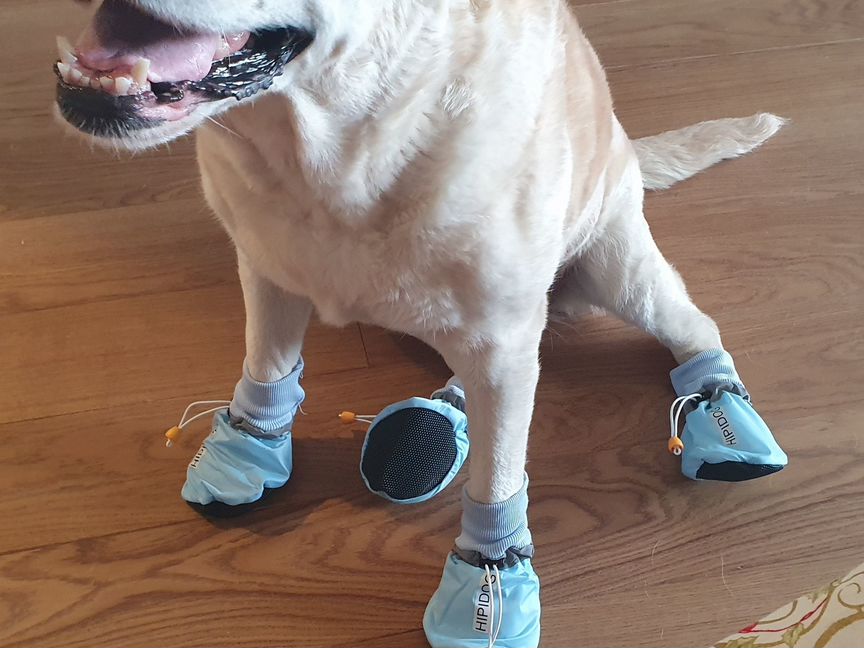 Обувь для крупных собак, р-р L