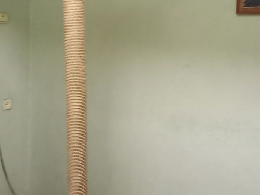 Когтеточка для кошек