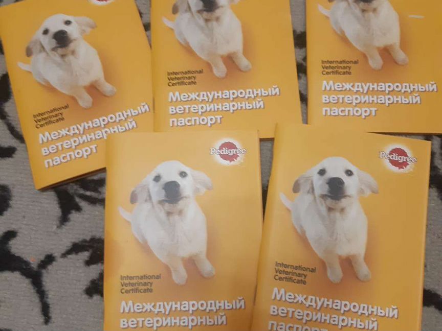 Ветеринарный паспорт