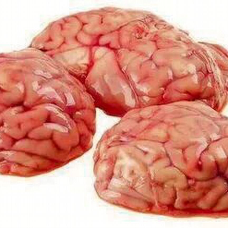 Мясо для собак. Мозги говяжьи