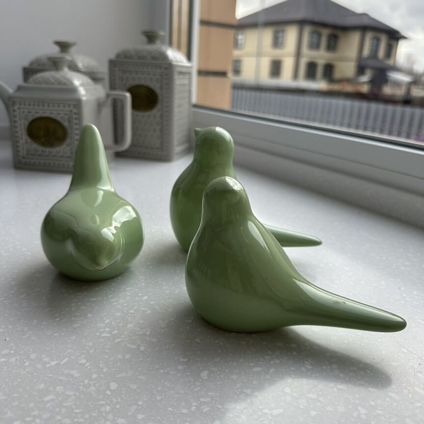 Декоративные птицы