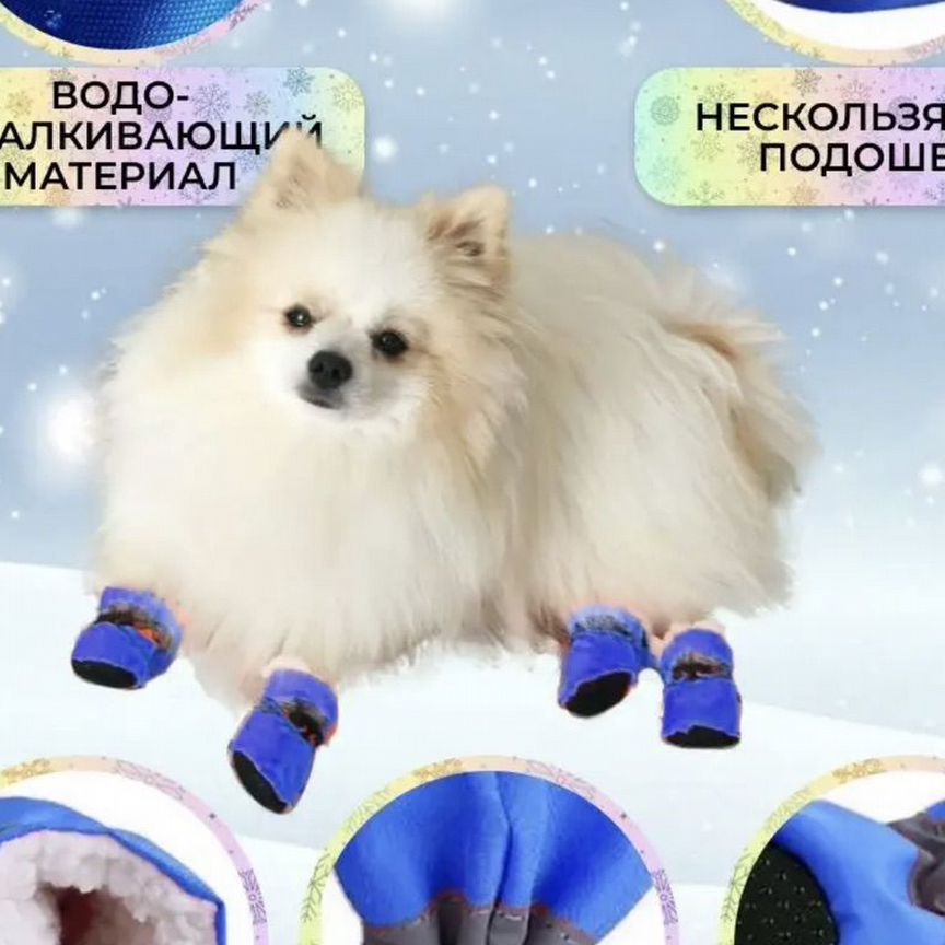 Зимняя обувь для собак