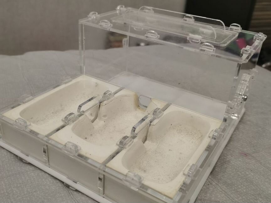 Муравьиная ферма