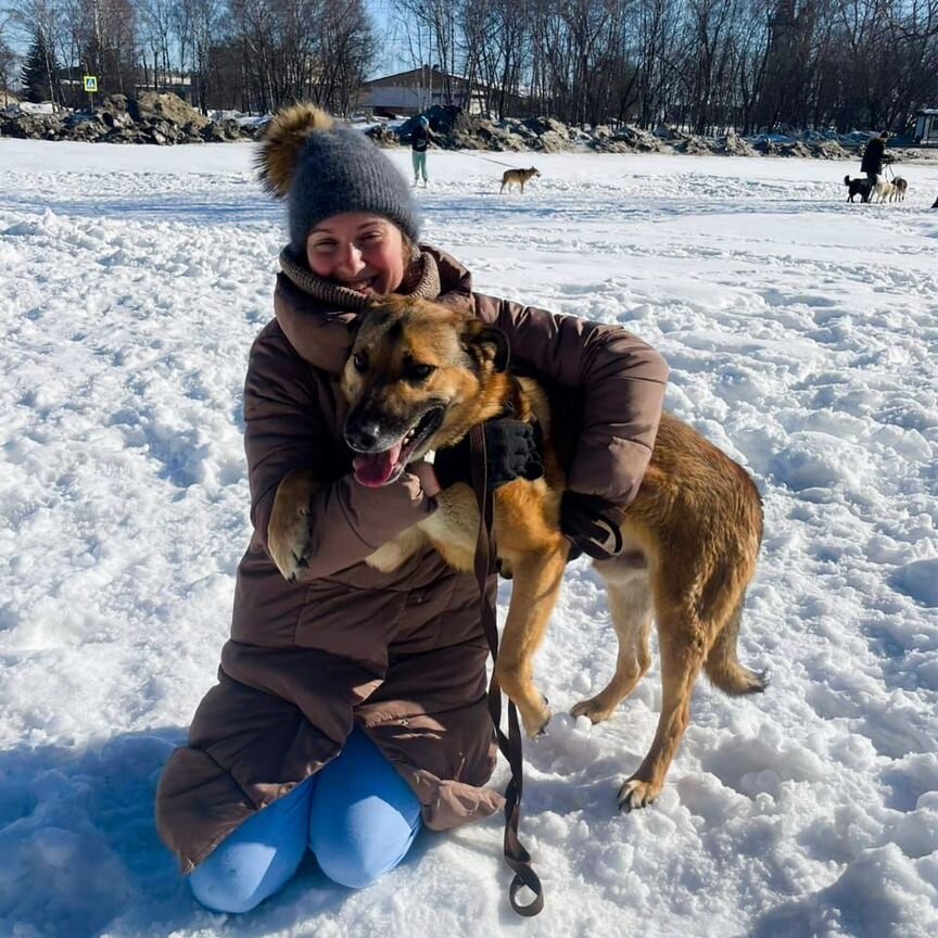 Шкипер ждёт своих родителей