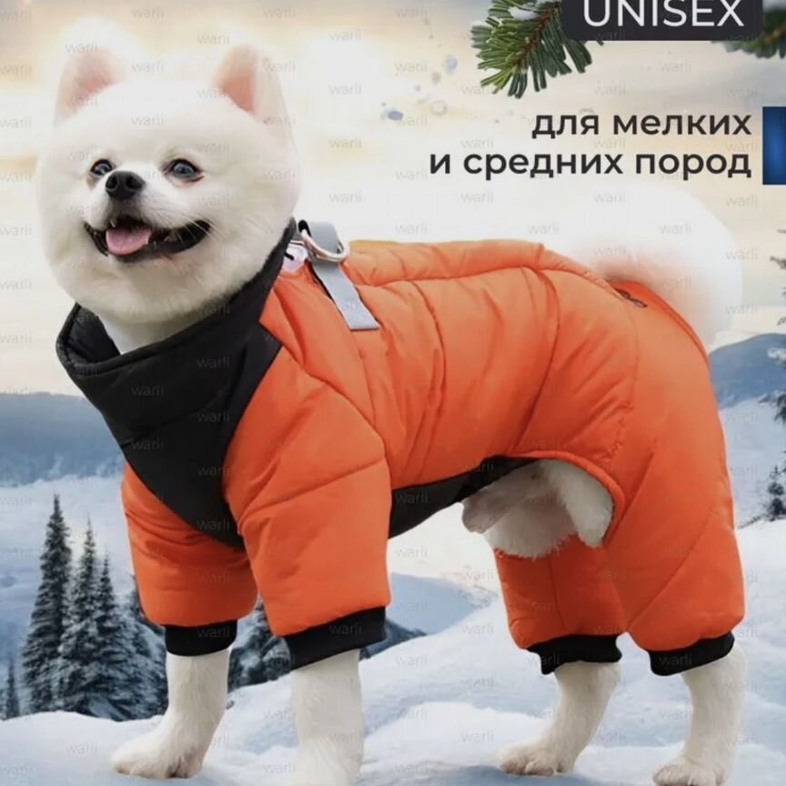 Одежда для собак